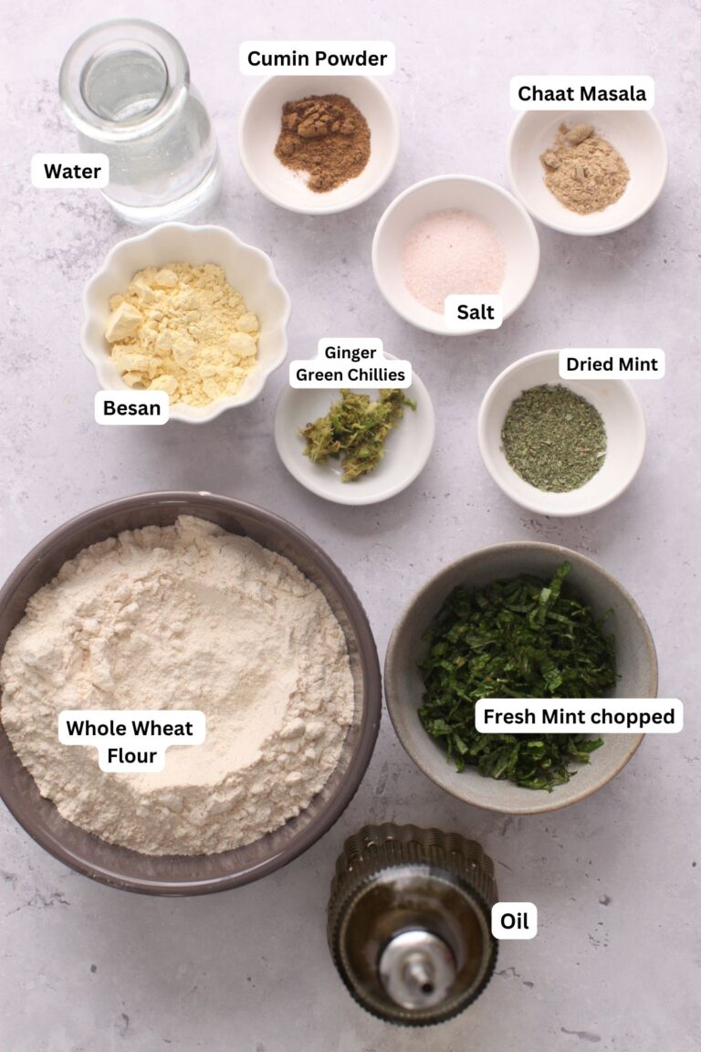 Laccha Pudina Paratha (Mint Flatbread) - Sinfully Spicy