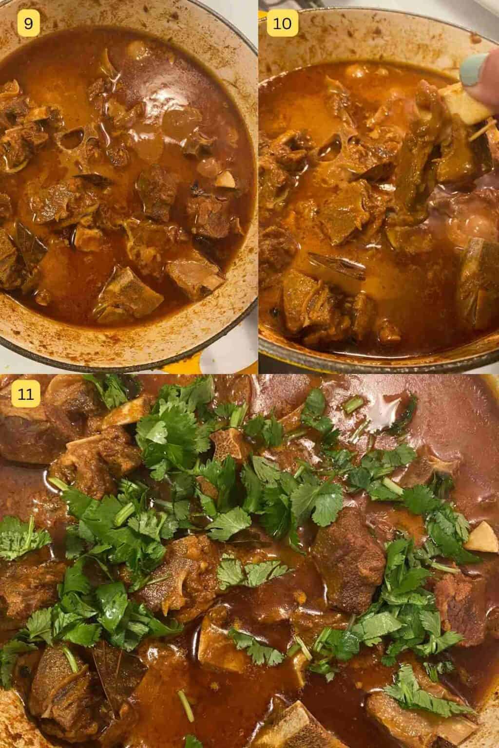 Tender Indian Goat Curry Recipe (Mutton Curry) - Sinfully Spicy